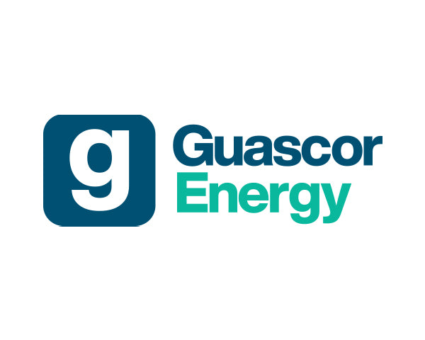 Total Energy Systems | Guascor Energy Engines - High-Efficiency Power ...